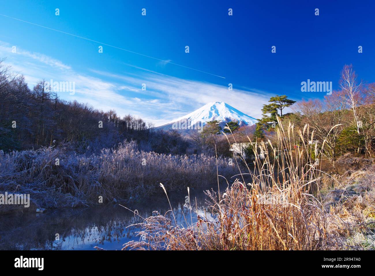 Mt. Fuji and Katsura River Stock Photo - Alamy