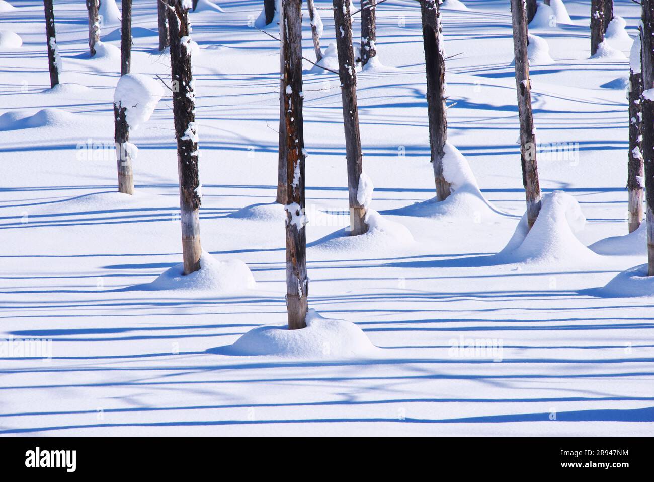Winter of blue lake Stock Photo - Alamy