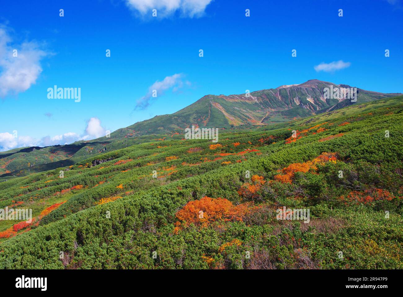 Takeshi toma hi-res stock photography and images - Alamy