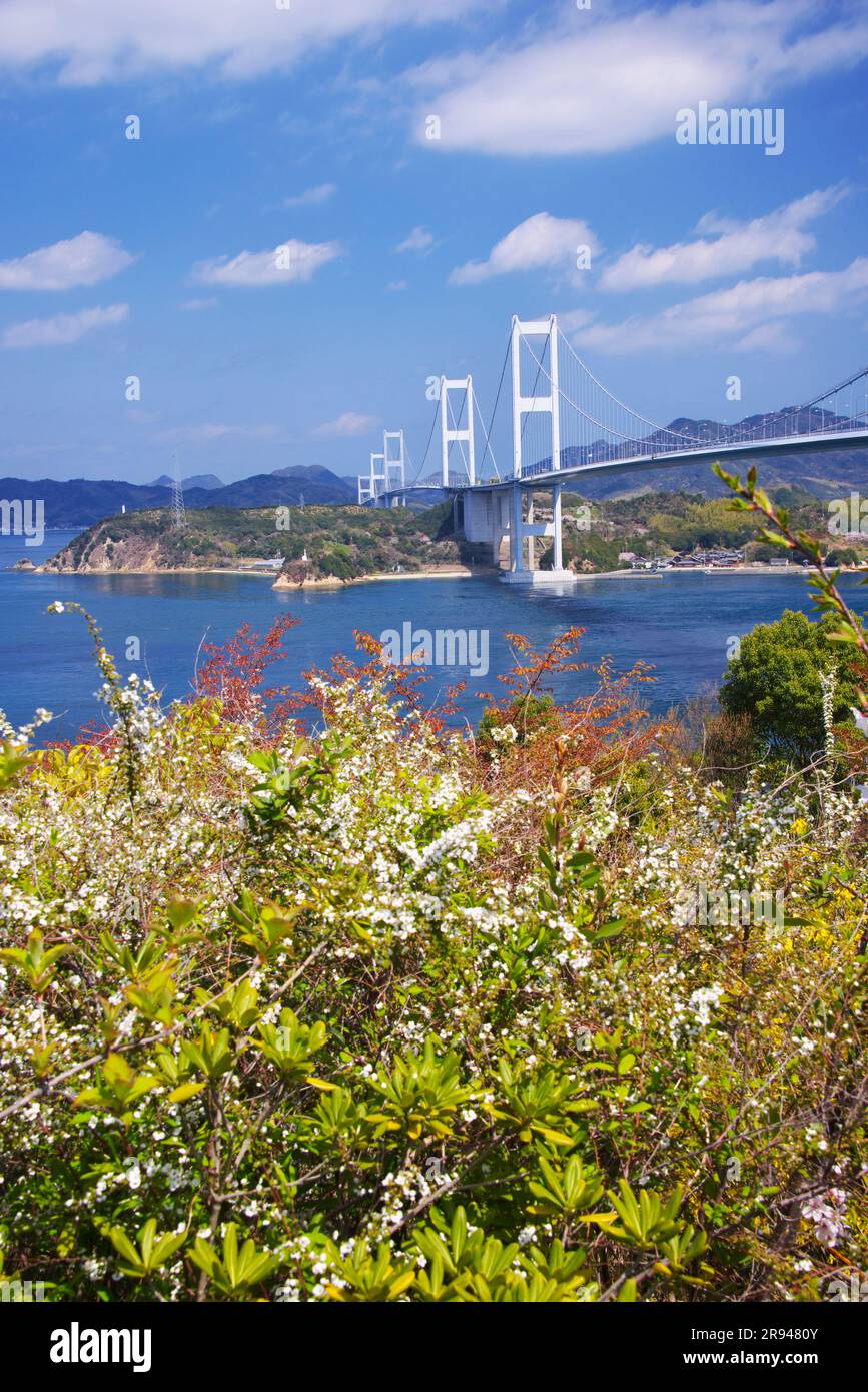 Kurushima kaikyo bridge imabari hi-res stock photography and images - Alamy