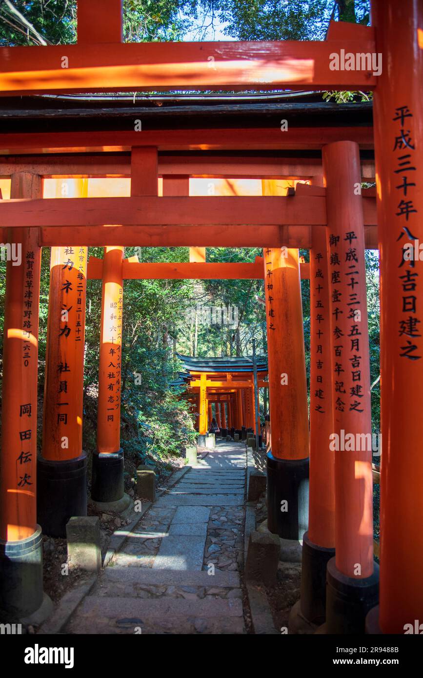 Fushimi Inari Shrine, Kyoto Stock Photo - Alamy