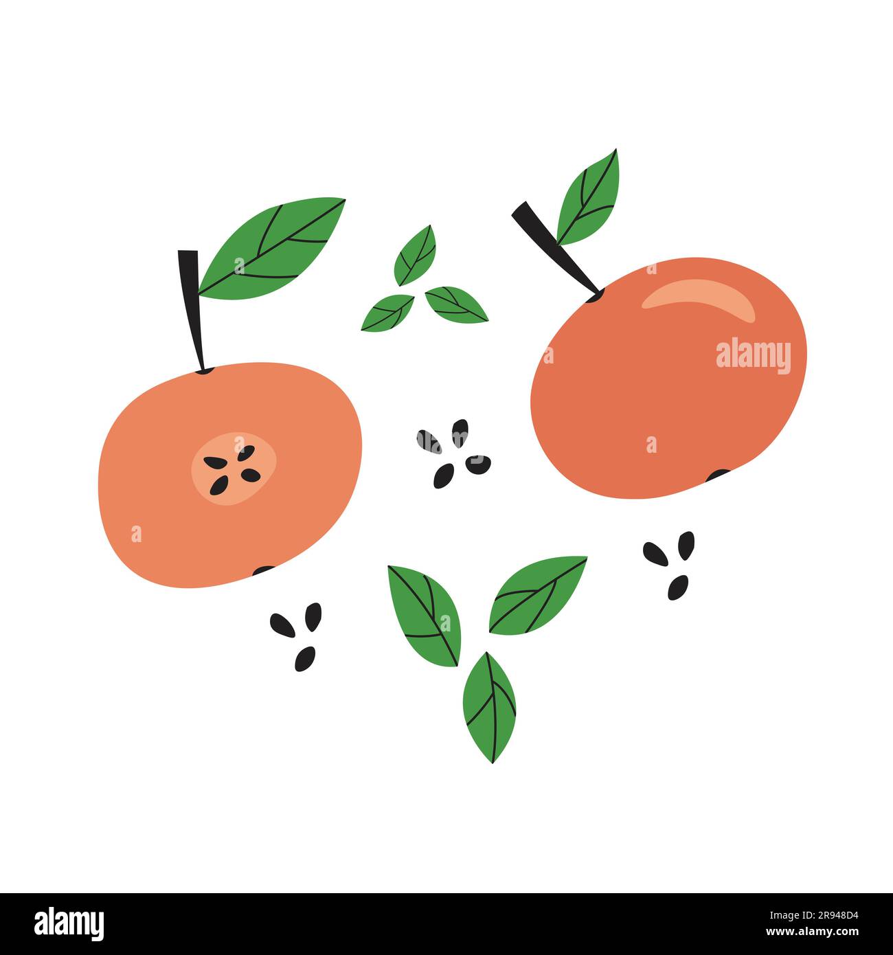 Red doodle cartoon apples set with green leaves and seeds. Colorful ...