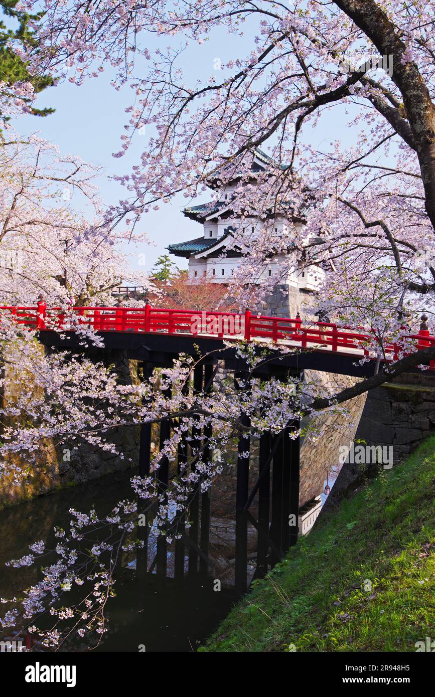 Cherry blossoms at Hirosaki Castle and Shimonori Bridge Stock Photo - Alamy