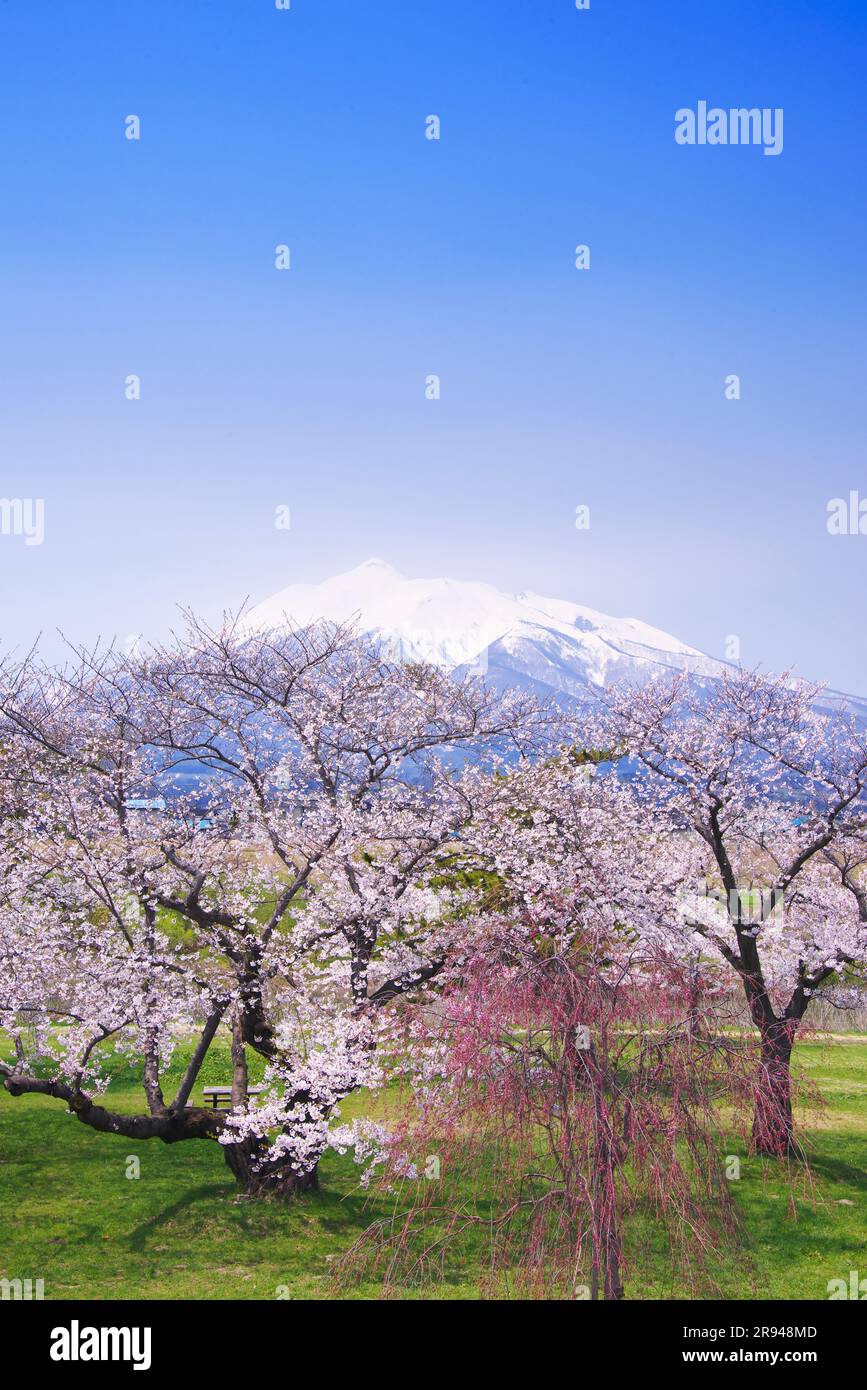 Itayanagi hi-res stock photography and images - Alamy