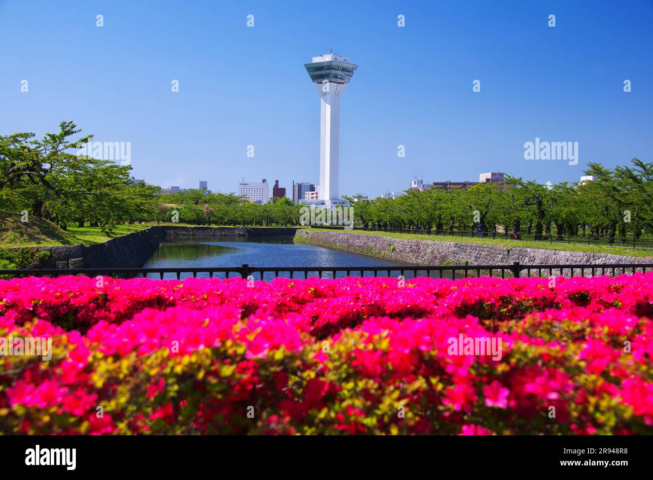 Goryokaku Tower and azaleas in Goryokaku Park Stock Photo - Alamy