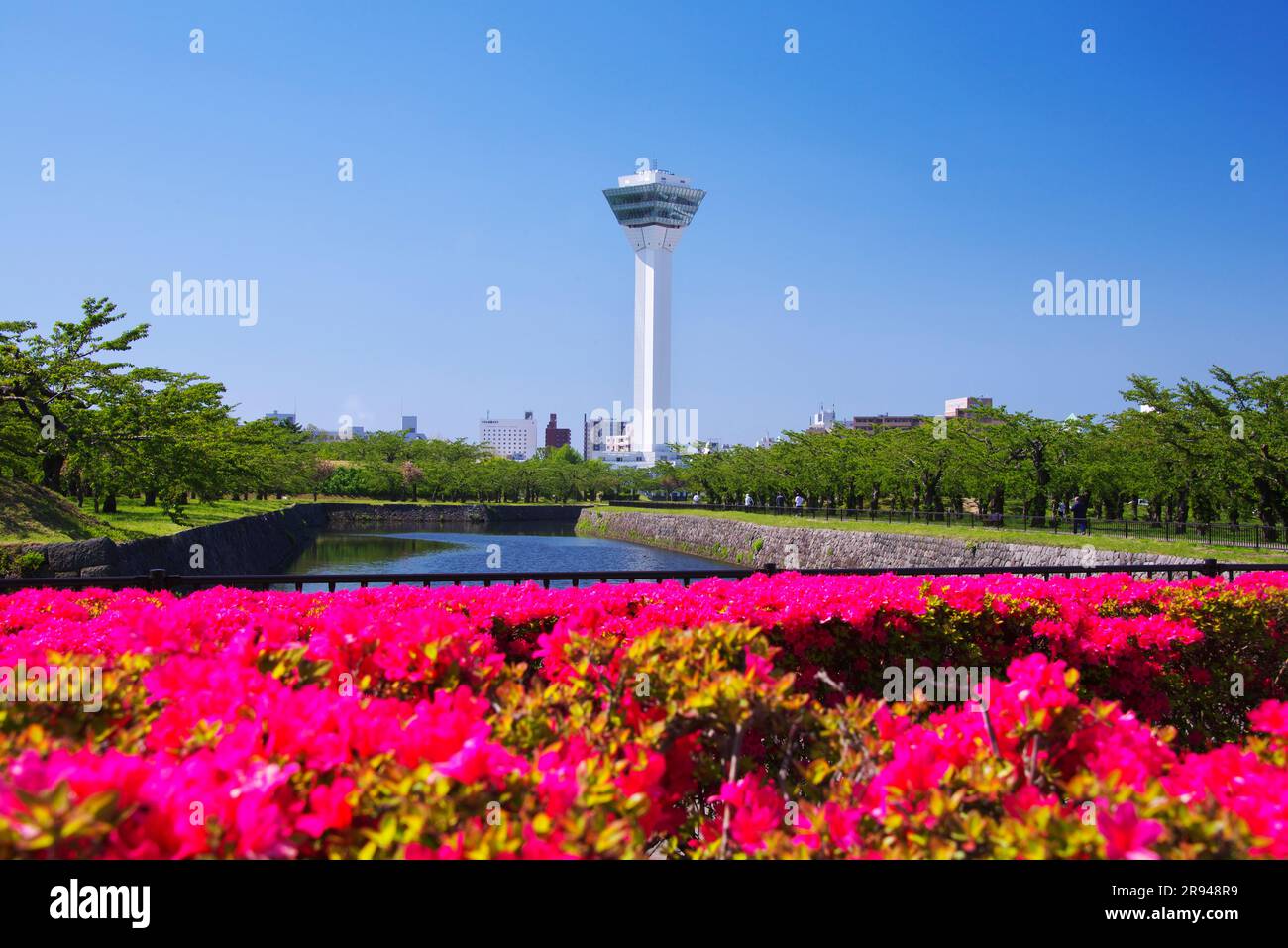 Goryokaku Tower and azaleas in Goryokaku Park Stock Photo - Alamy