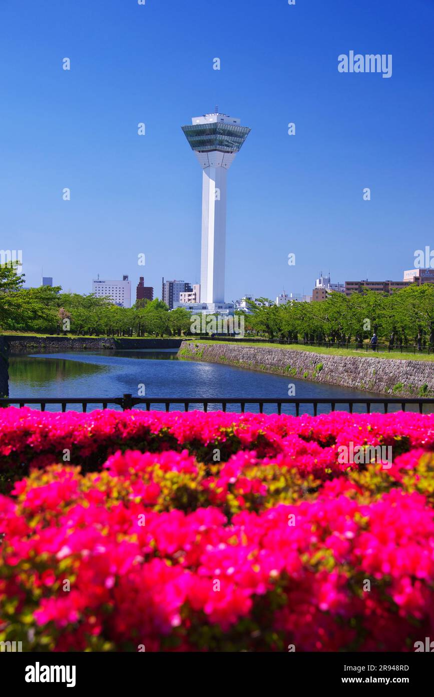 Goryokaku Tower and azaleas in Goryokaku Park Stock Photo - Alamy