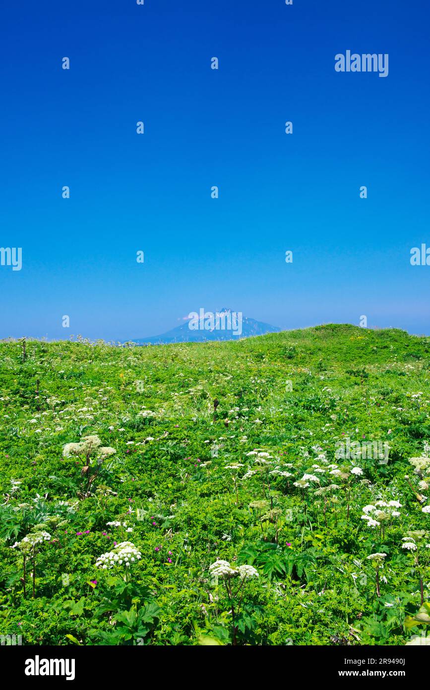 Rishiri Island and Sarobetsu plain Stock Photo - Alamy