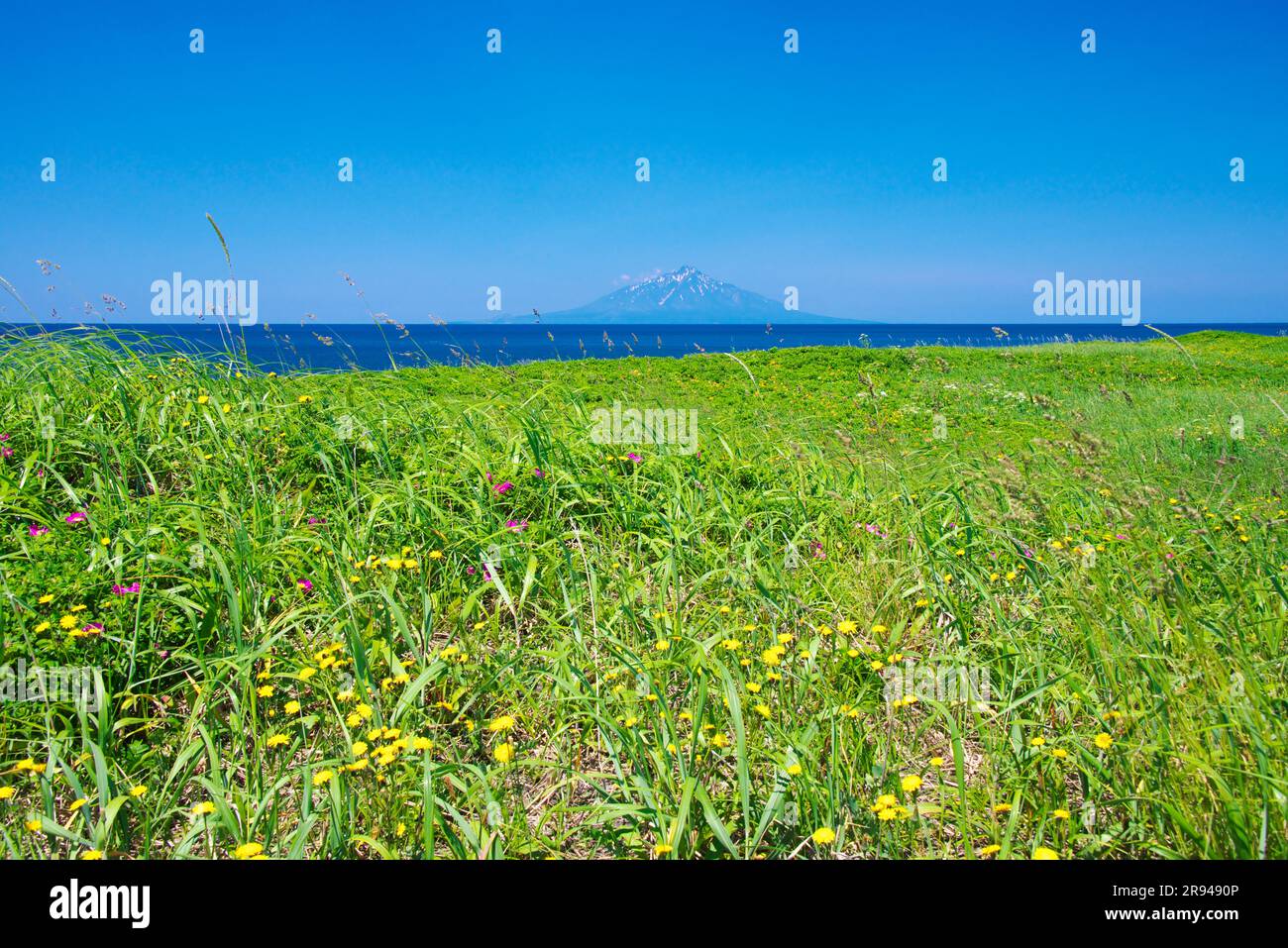 Rishiri Island and Sarobetsu plain Stock Photo - Alamy