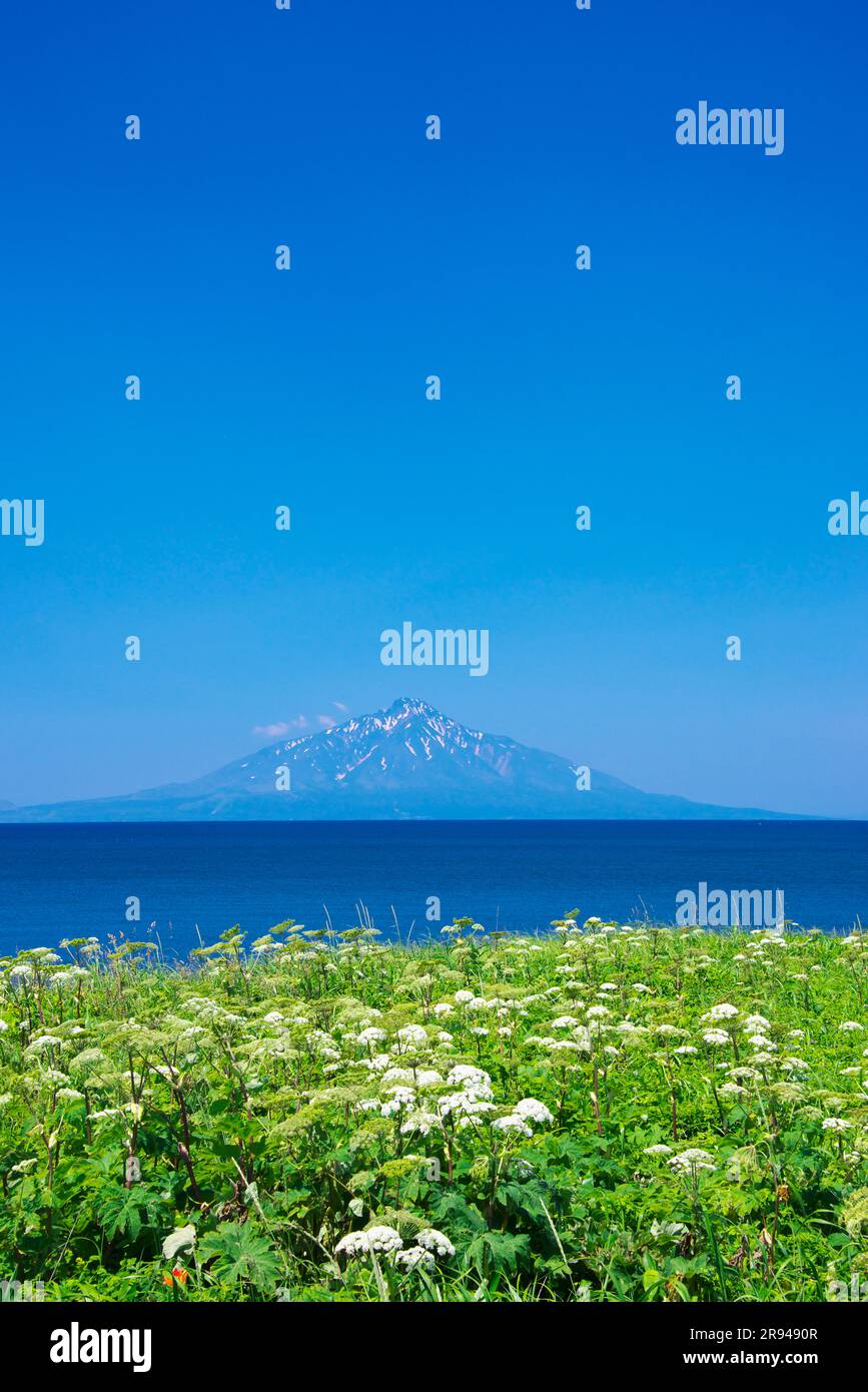 Rishiri island hi-res stock photography and images - Alamy