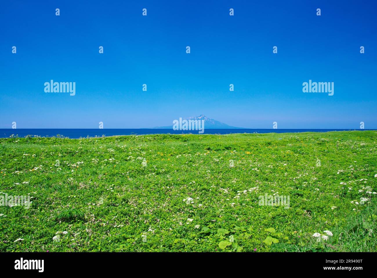 Rishiri Island and Sarobetsu plain Stock Photo - Alamy