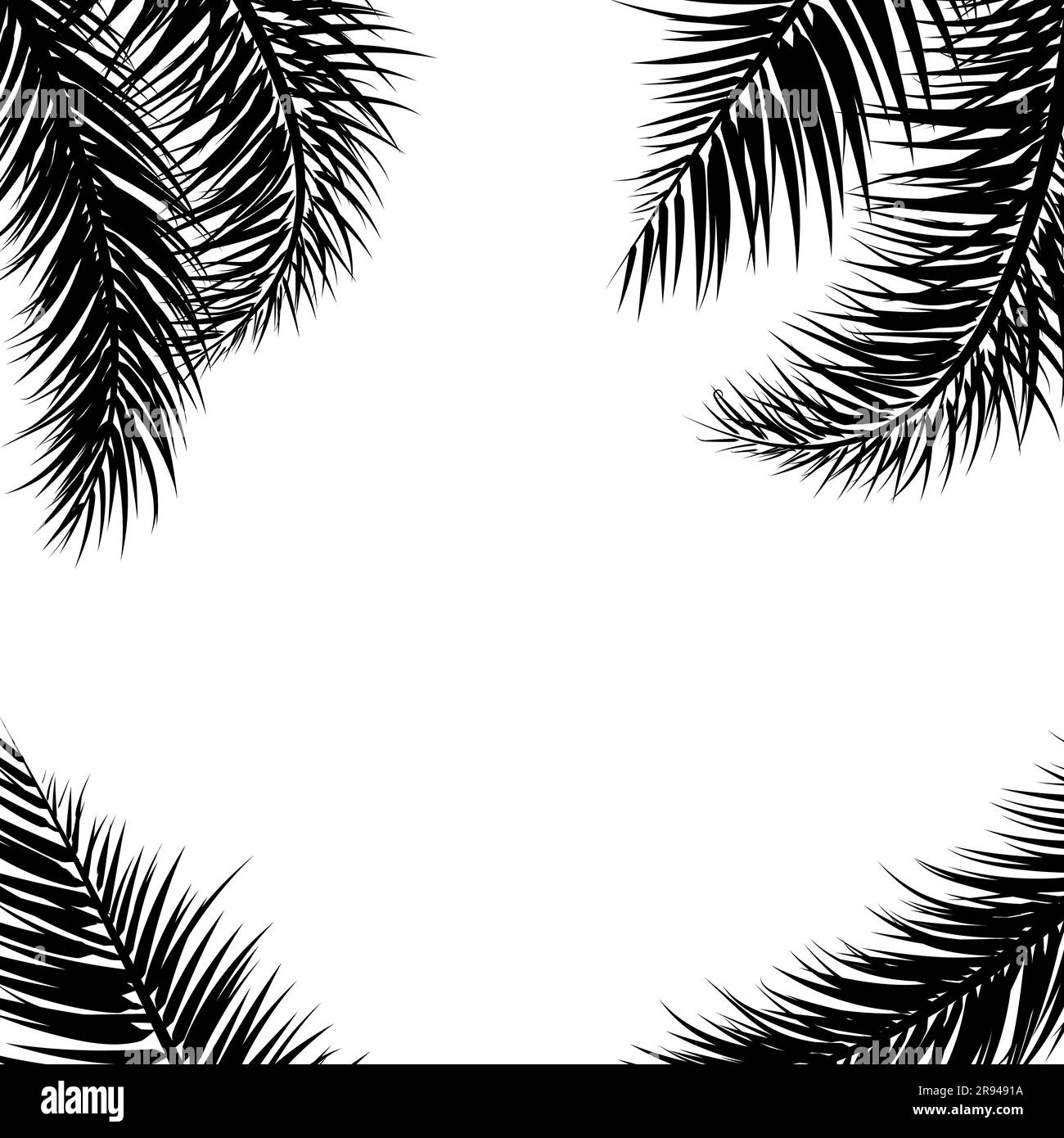 Jungle Border Black And White Leaves Border Free Stock Vectors