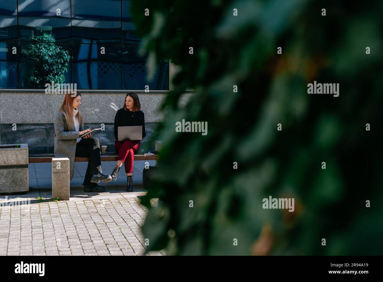 Long distance shot of two lovely business girls working remotely while ...