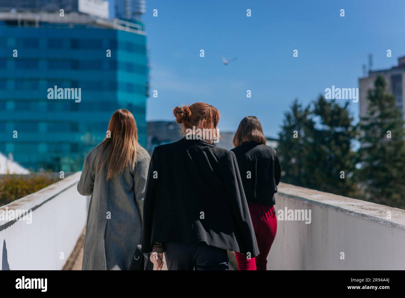 Back view shot of three businesswomen walking straight ahead. Ginger ...