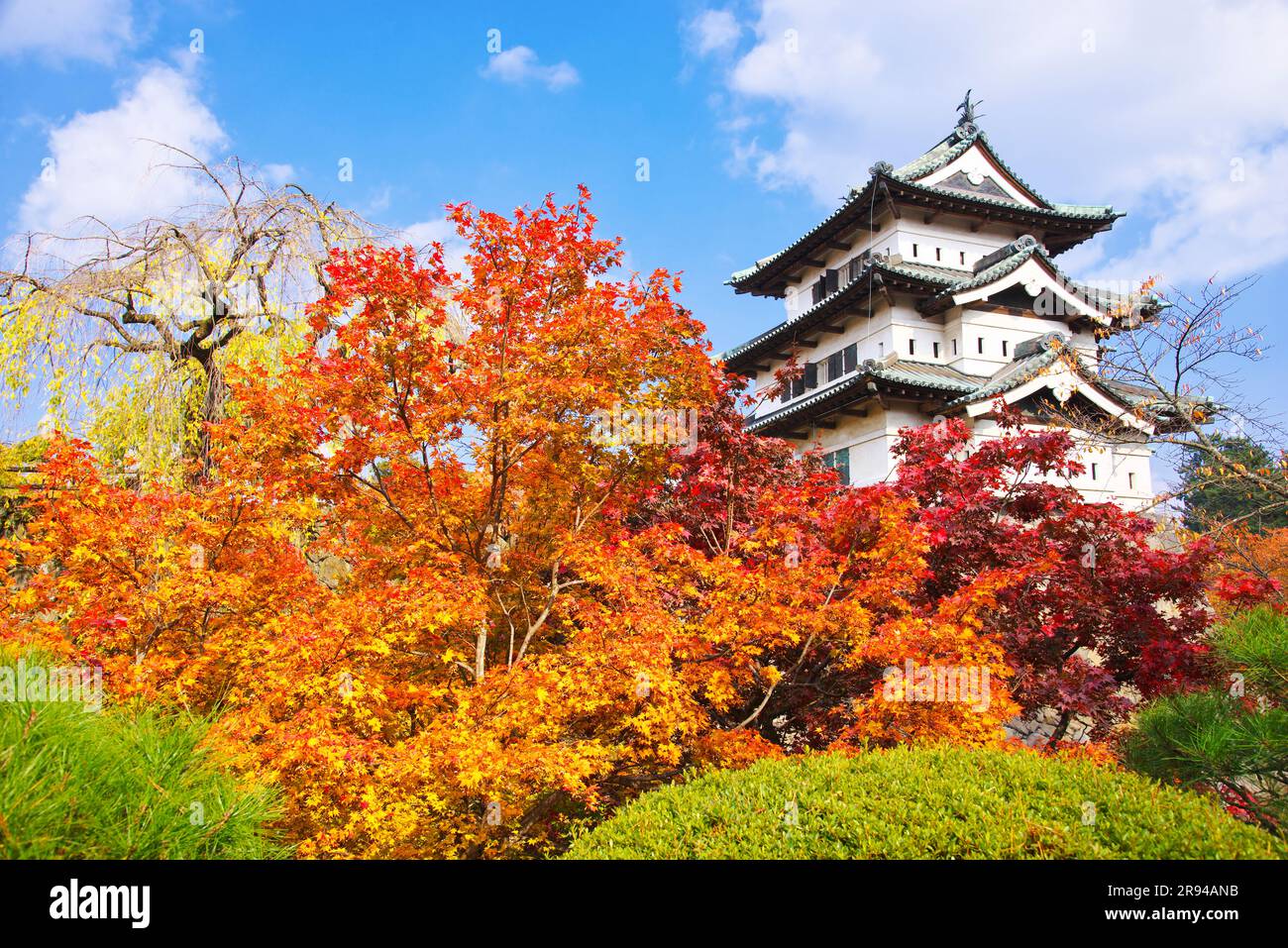 The fall of Hirosaki Castle Stock Photo - Alamy