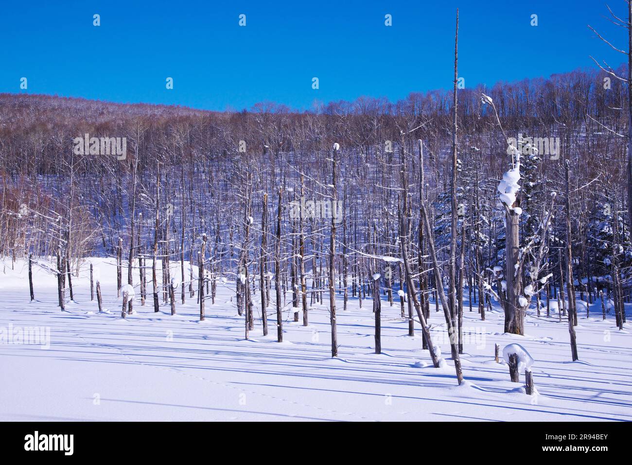 Winter of blue lake Stock Photo - Alamy