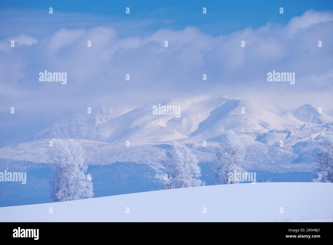 frost covered trees and Daisetsuzan mountains Stock Photo - Alamy