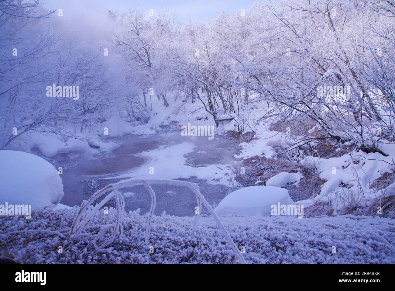 Bokke of Lake Akan Stock Photo - Alamy