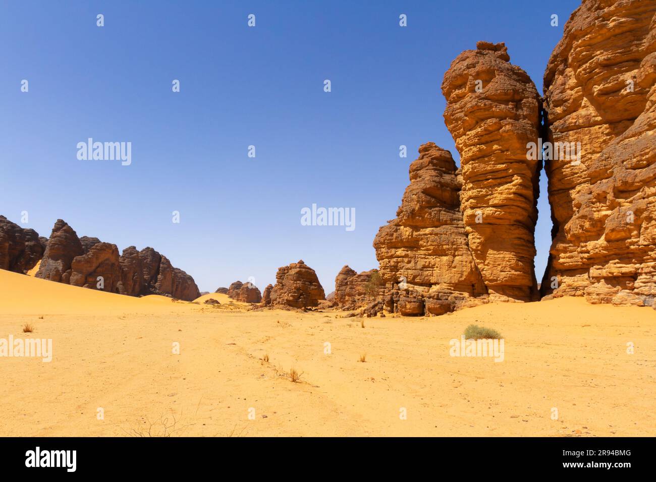 Stone forest. A sandstone rock anf cliffs formations in astonishing ...