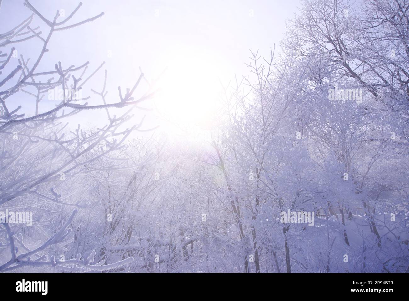 Morning sun at city hi-res stock photography and images - Alamy