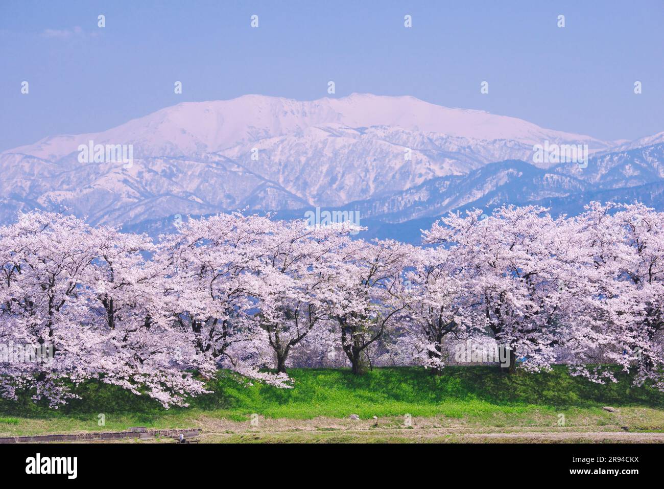 Yakushi spring hi-res stock photography and images - Alamy