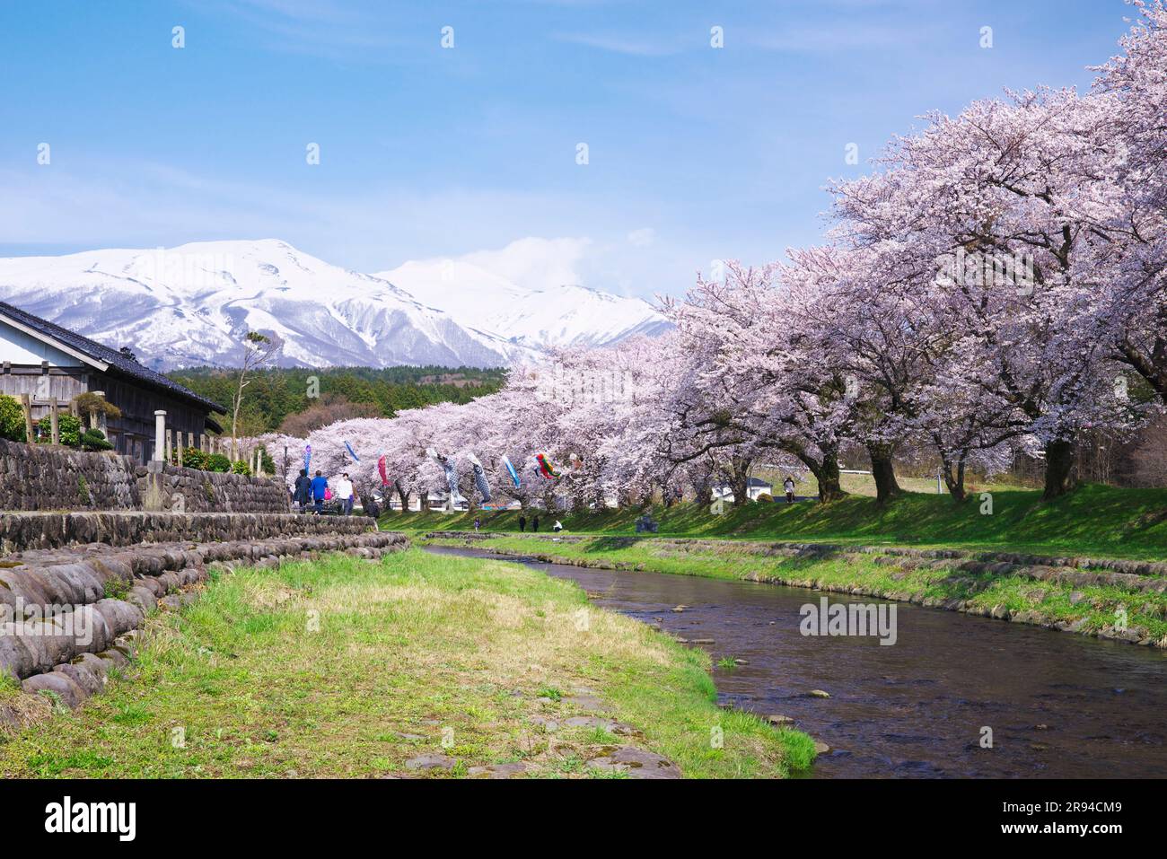 Cherry trees in Nakayama Kasen Park and Mt.Chokai Stock Photo - Alamy