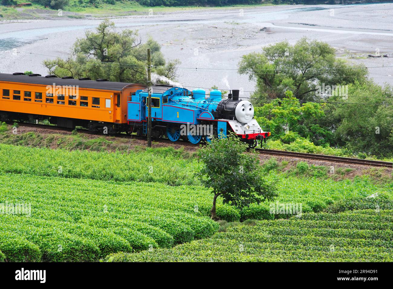 Oigawa River, Tea Field and Thomas the Tank Engine Stock Photo - Alamy