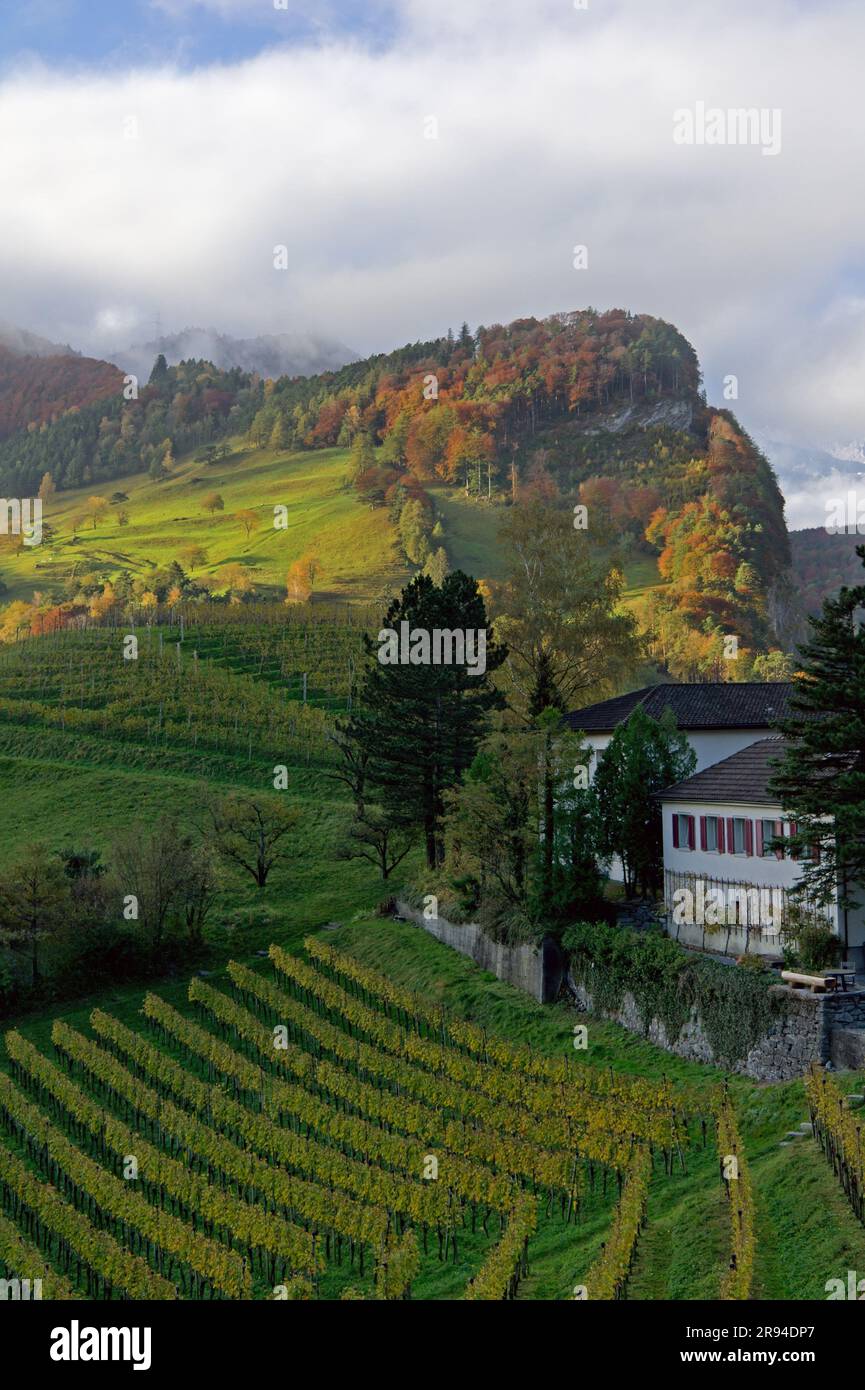 Village of balzers hi-res stock photography and images - Alamy