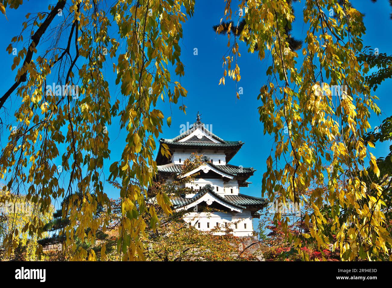 The fall of Hirosaki Castle Stock Photo - Alamy