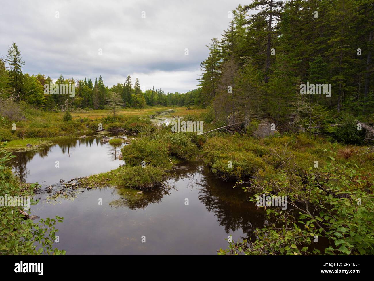 Maine Countryside