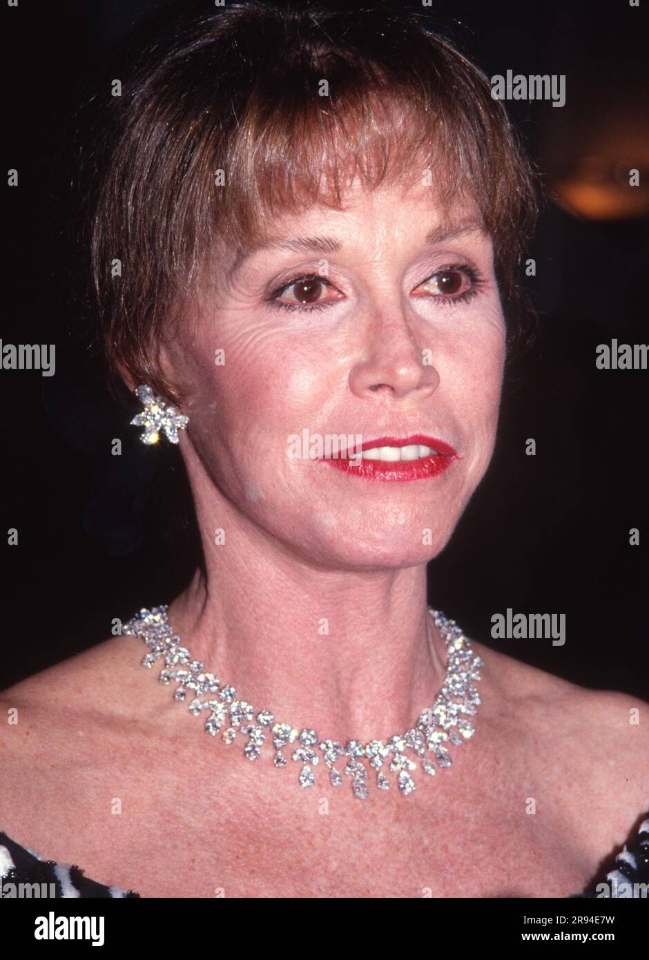 1988 Mary Tyler Moore John Barrett/PHOTOlink Stock Photo - Alamy
