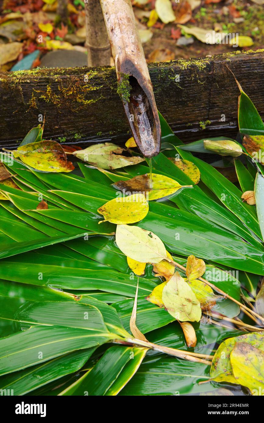 Autumn in the Heike Village Stock Photo - Alamy