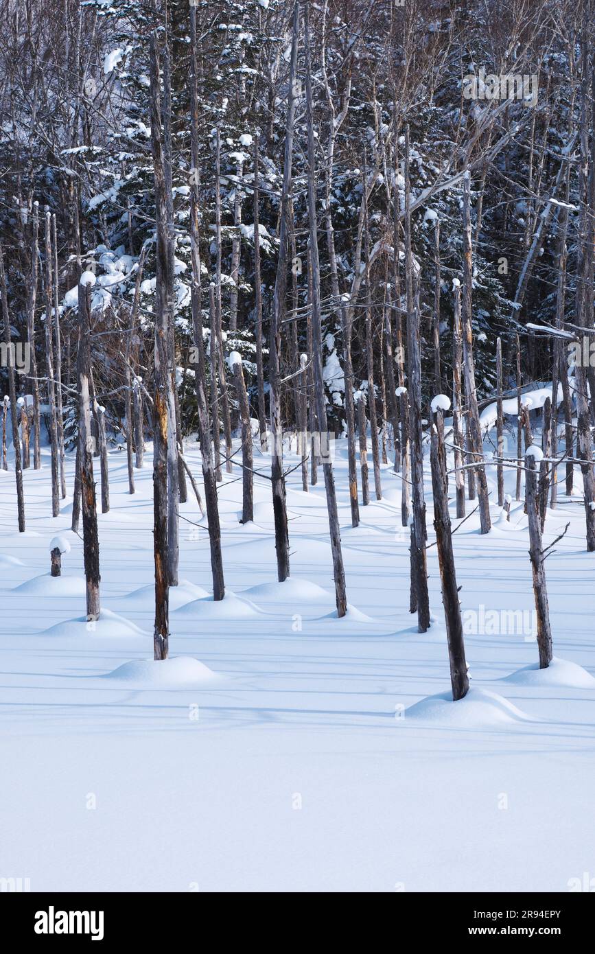 Winter of blue lake Stock Photo - Alamy