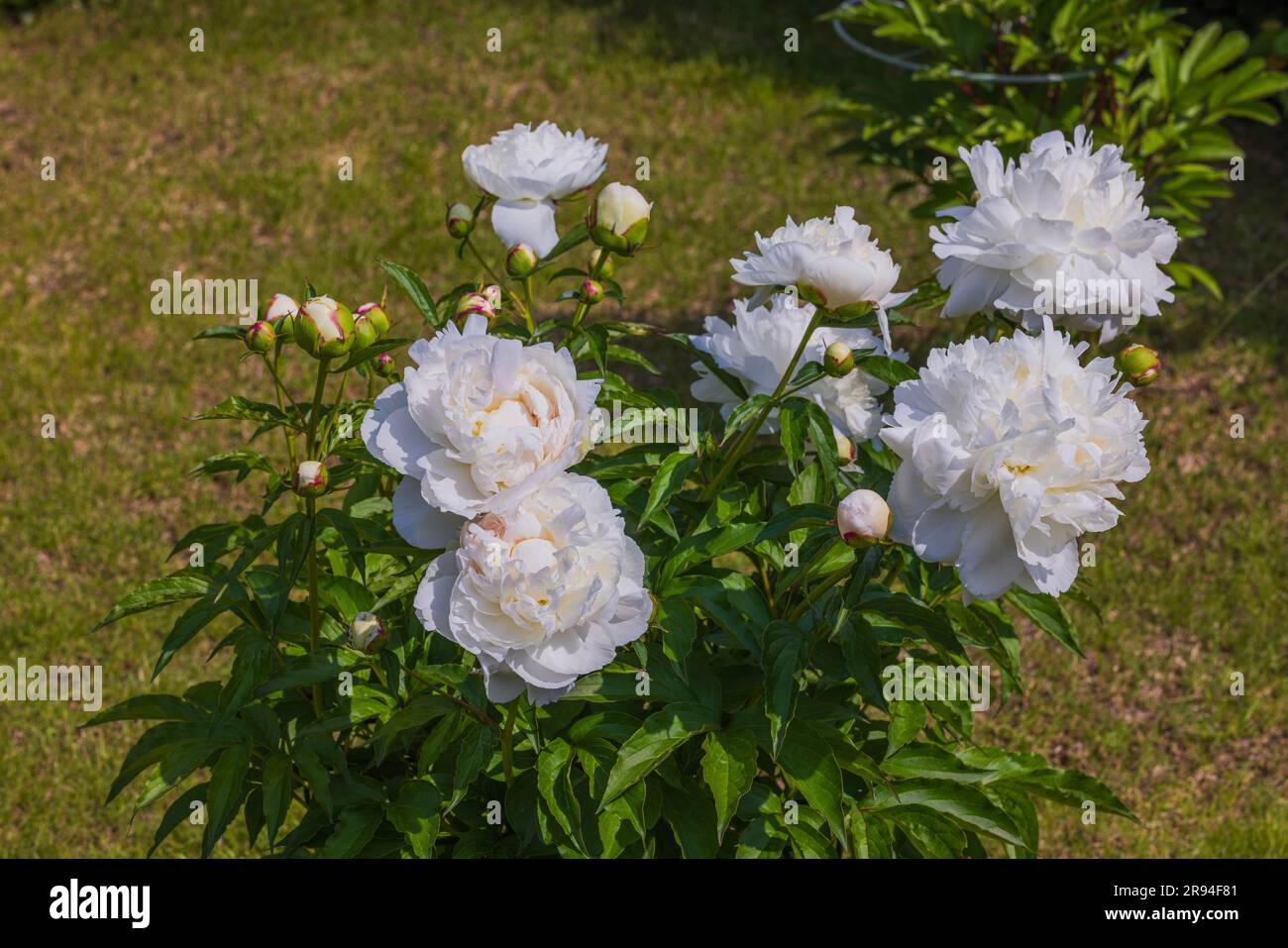Glorious view hi-res stock photography and images - Alamy