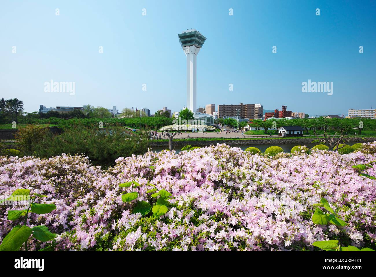 Goryokaku Park and Goryokaku Tower and azaleas Stock Photo - Alamy