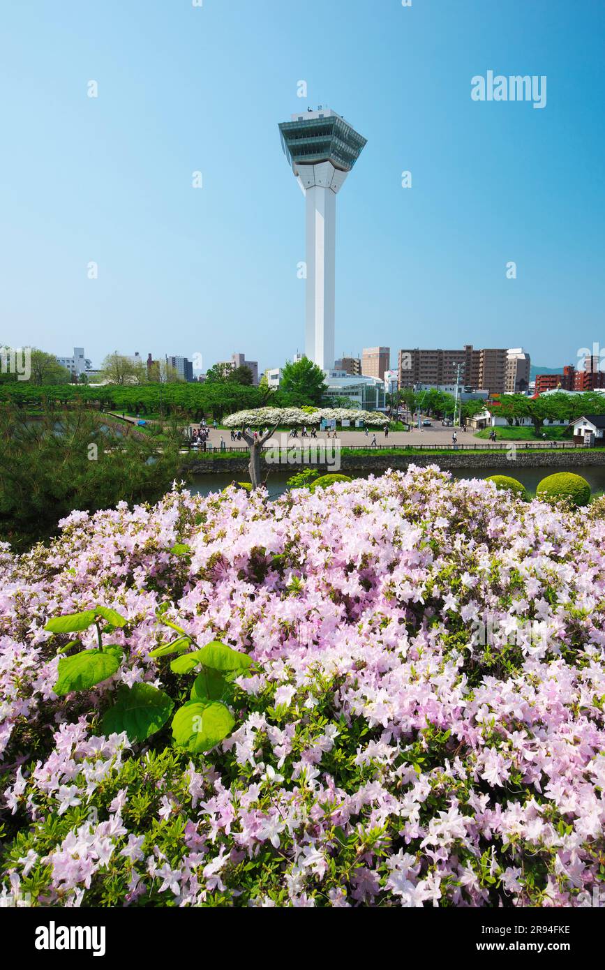 Goryokaku Park and Goryokaku Tower and azaleas Stock Photo - Alamy