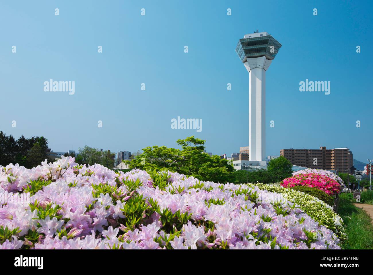 Goryokaku Park and Goryokaku Tower and azaleas Stock Photo - Alamy