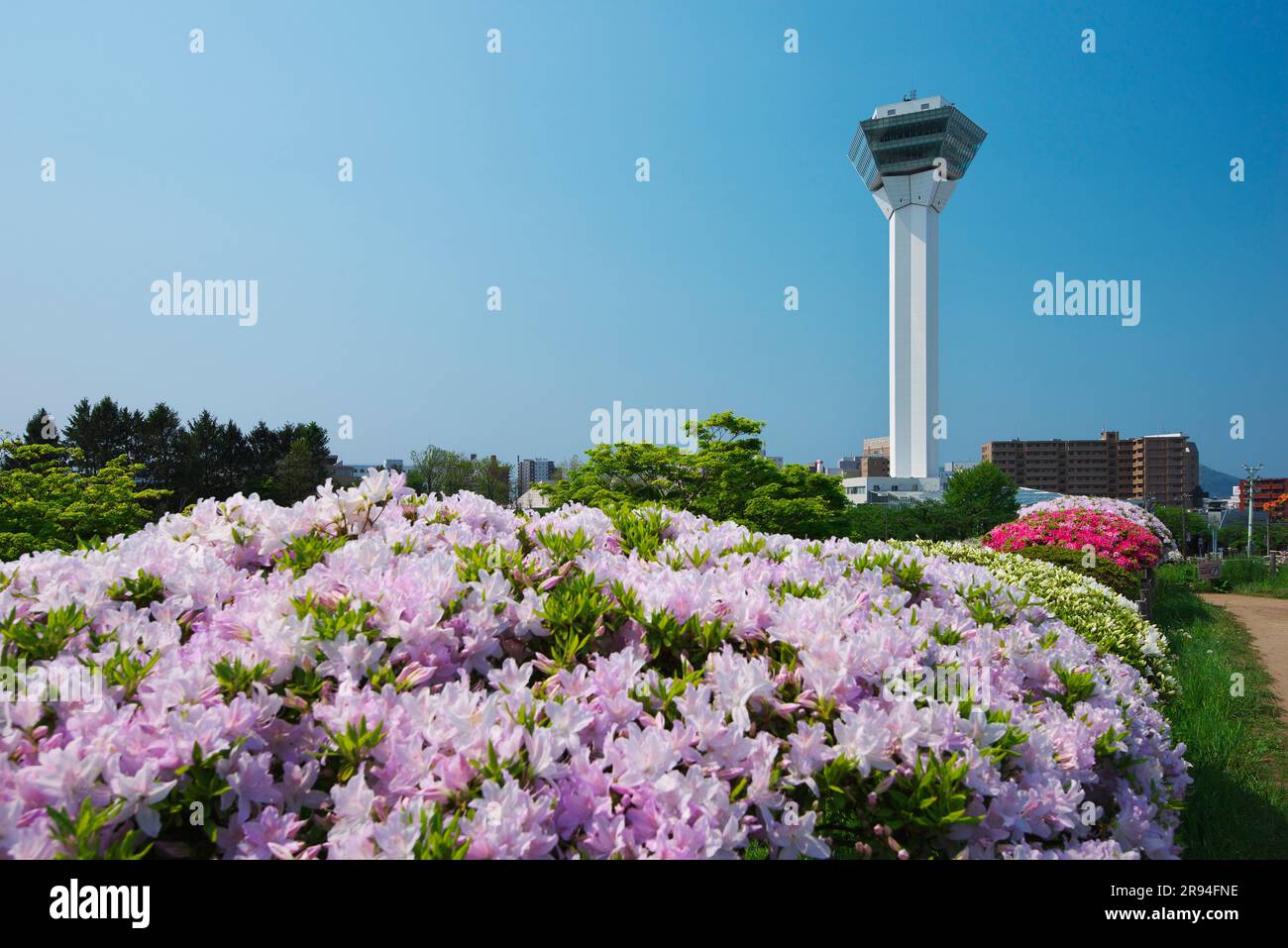 Goryokaku Park and Goryokaku Tower and azaleas Stock Photo - Alamy