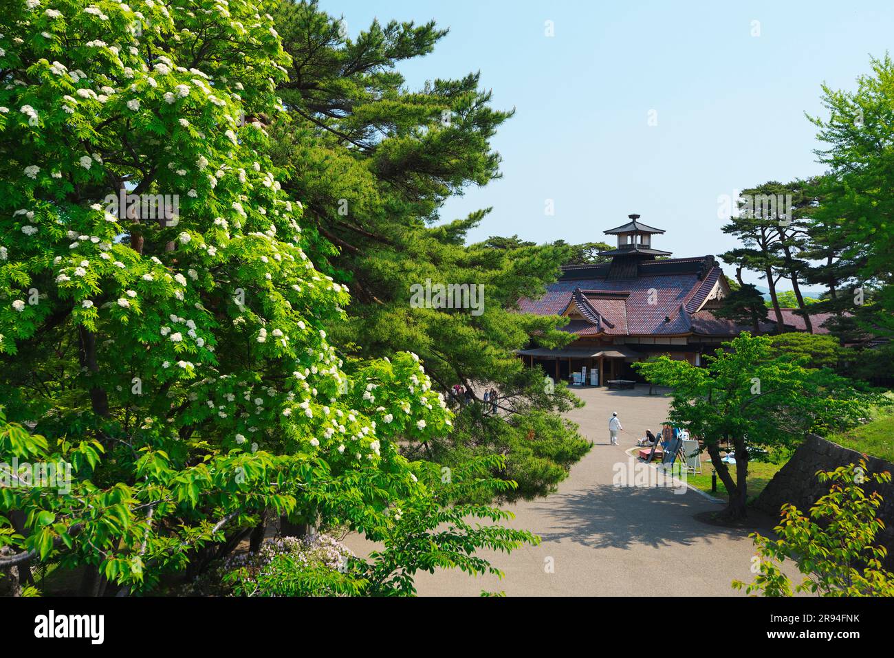 Hakodate Magistrate's Office and Goryokaku Park Stock Photo - Alamy