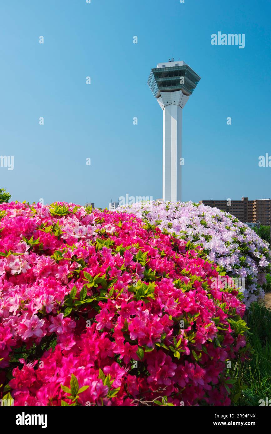 Goryokaku Park and Goryokaku Tower and azaleas Stock Photo - Alamy