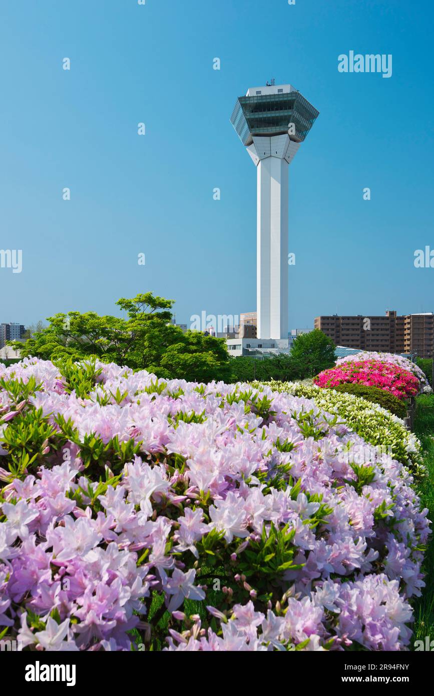 Goryokaku Park and Goryokaku Tower and azaleas Stock Photo - Alamy