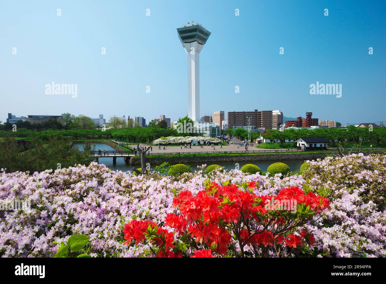 Goryokaku Park and Goryokaku Tower and azaleas Stock Photo - Alamy