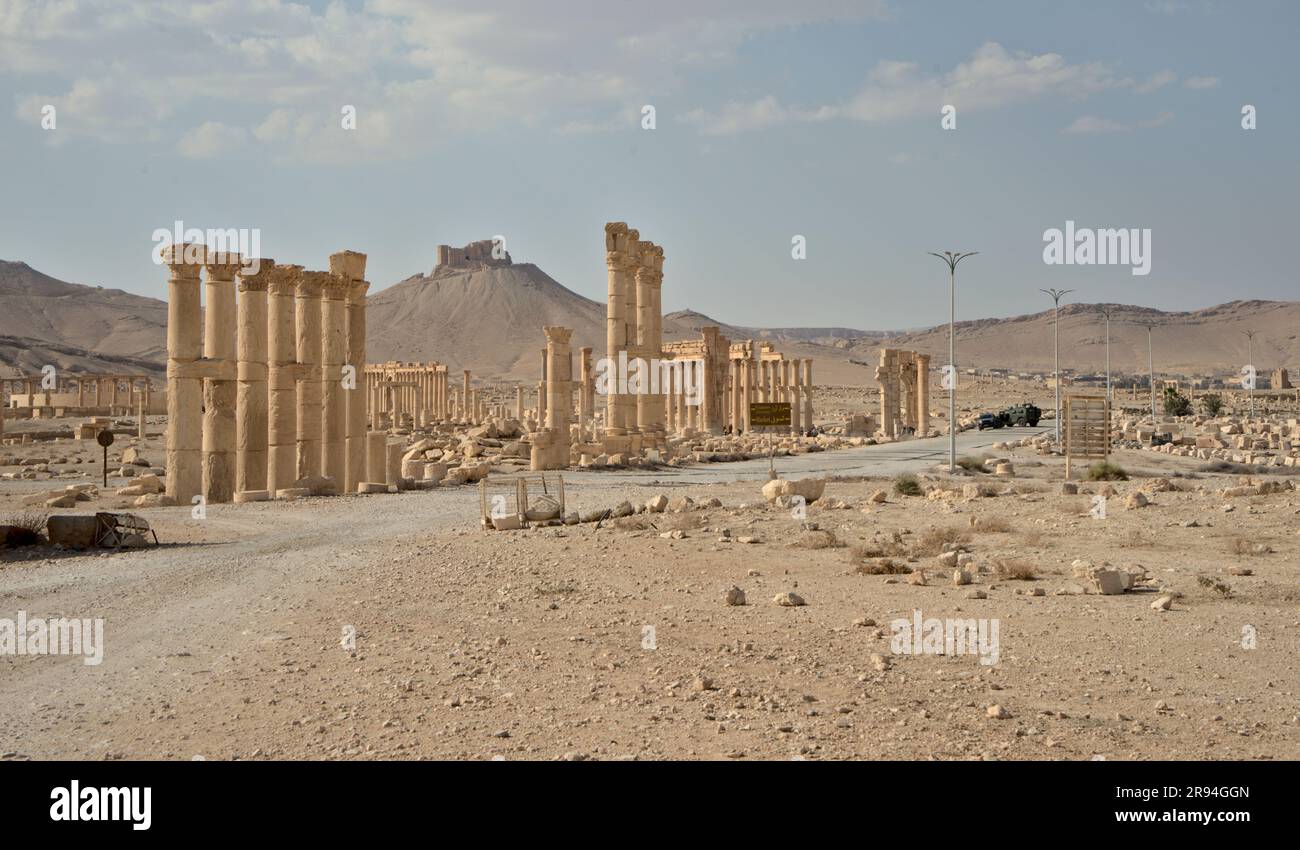 Palmira, Syria, The Ancient city after the civil war Stock Photo - Alamy