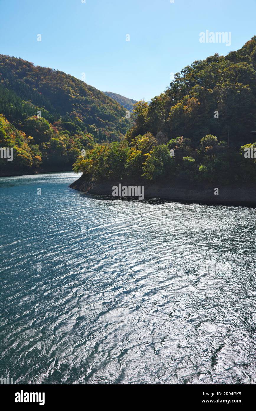 Autumn at Lake Kuzuryu Stock Photo - Alamy