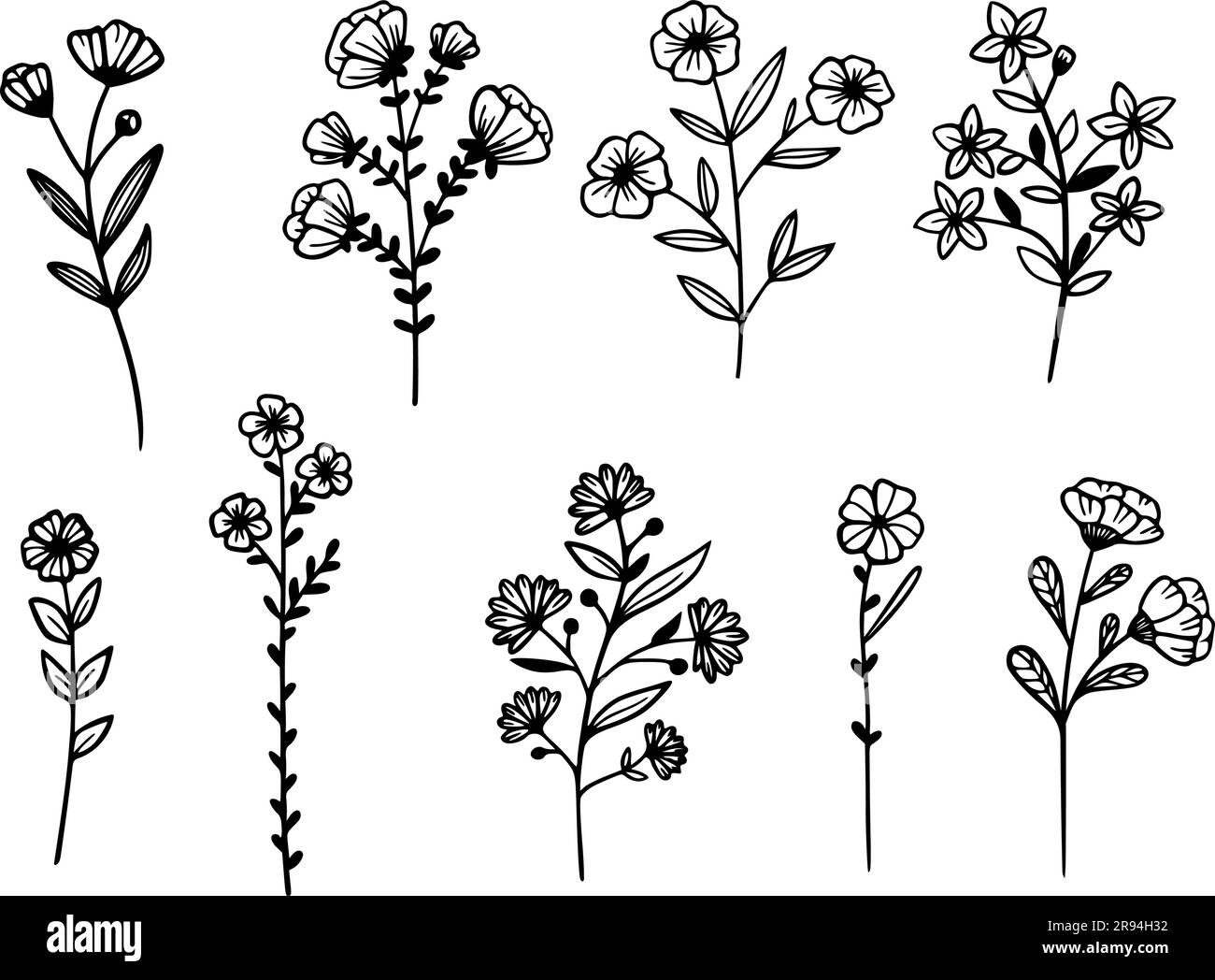 Flower plant line art simple drawn set Stock Vector Image & Art - Alamy
