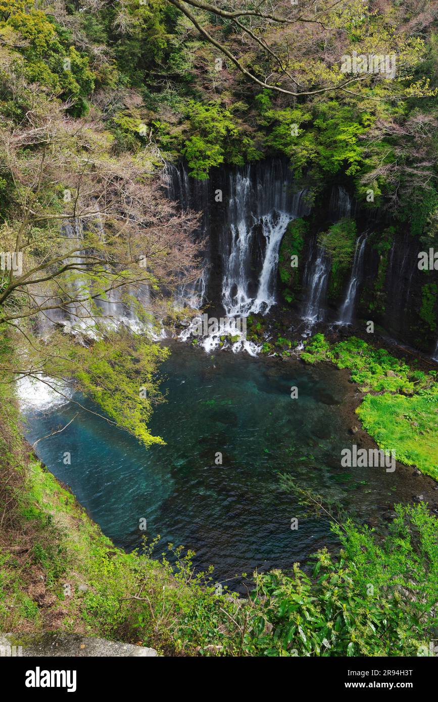 Beautiful shiraito falls fujinomiya hi-res stock photography and images ...