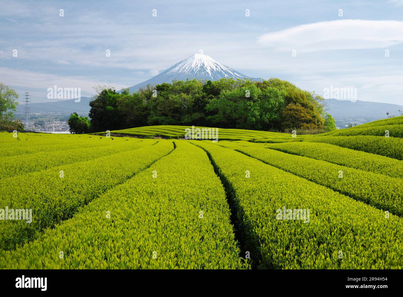 Calm tea hi-res stock photography and images - Alamy