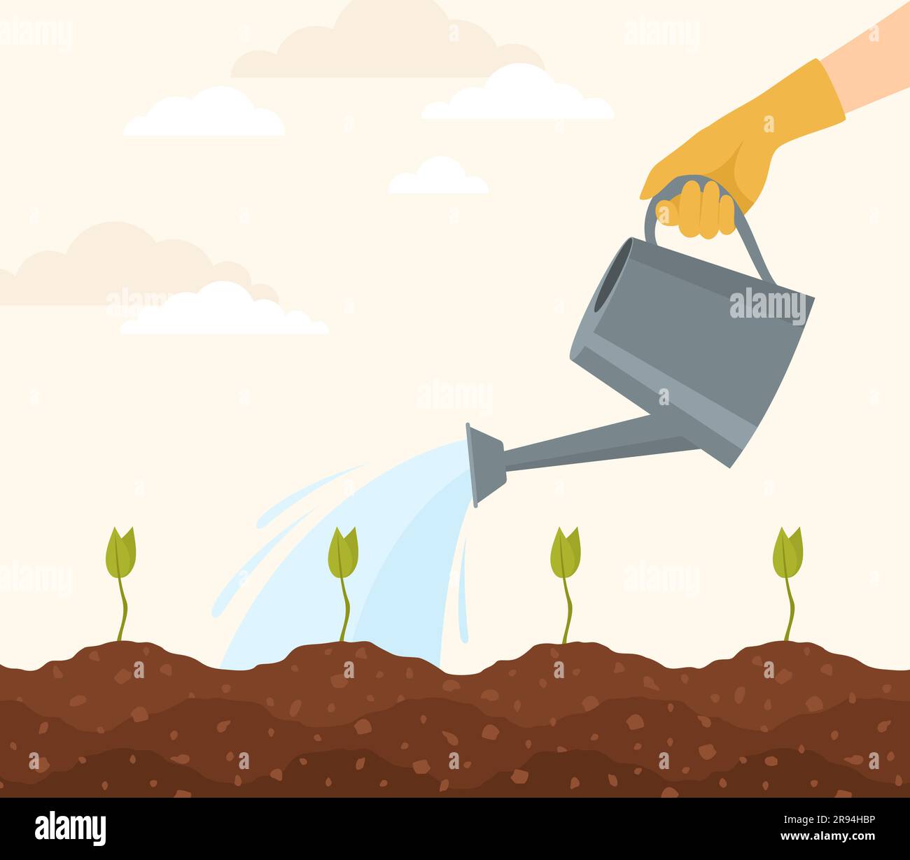 A hand in a yellow rubber glove watering seedlings from a watering can ...