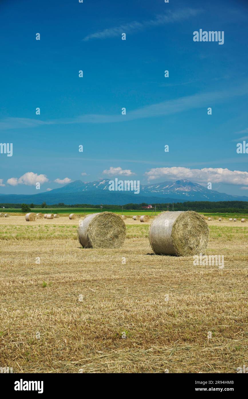 Daisetsuzan and grass roll Stock Photo - Alamy