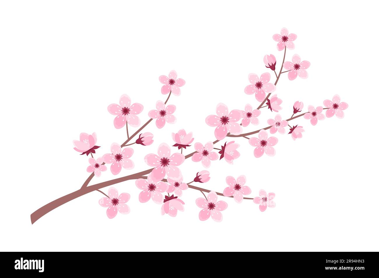 Pink cherry blossom branch isolated on white background. Vector ...